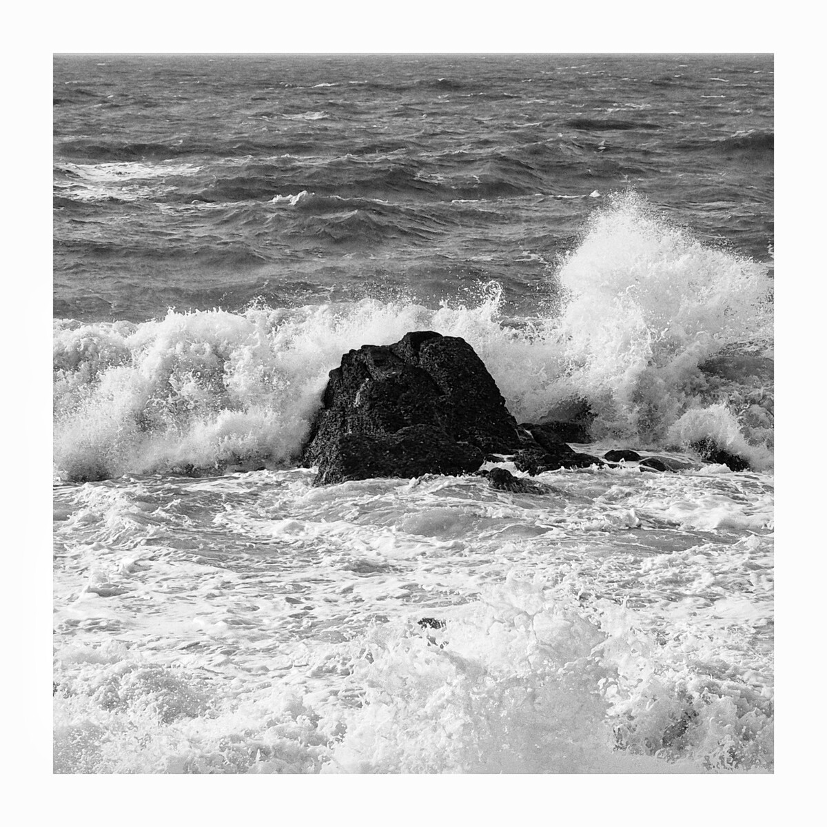 Best Free Jazz albums of 2024 - Rate Your Music